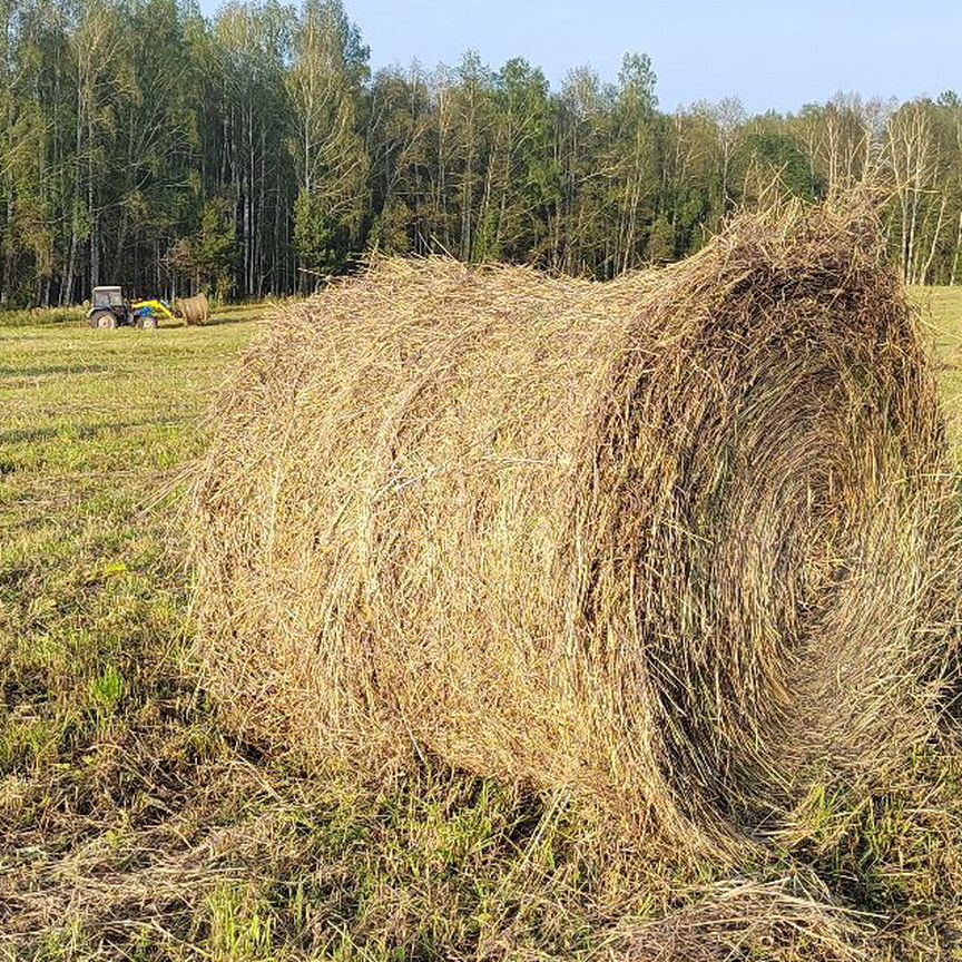 Сено в рулонах