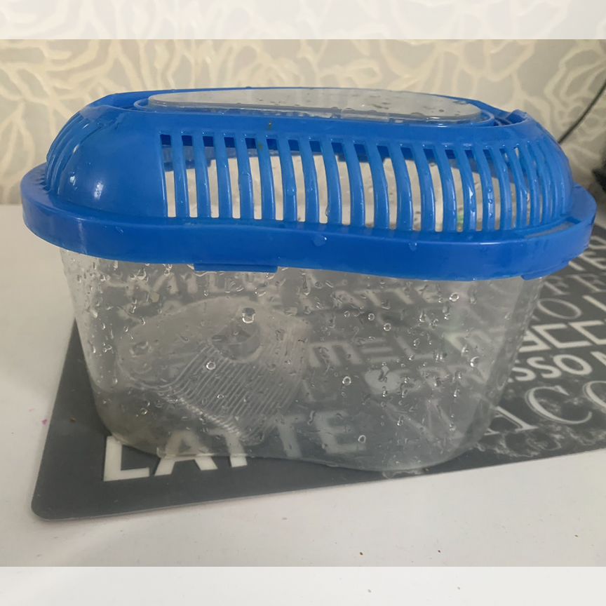 Переноска для черепашек