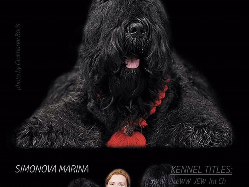 Щенки Русский Черный Терьер