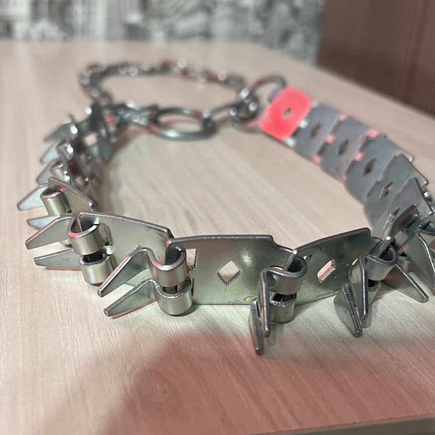 Строгий ошейник