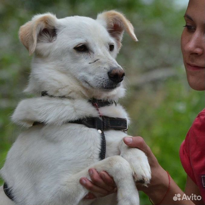 Зая ищет дом