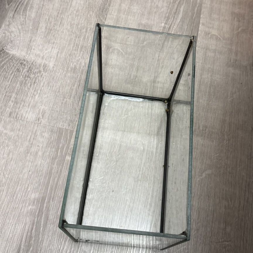 аквариумные рыбки