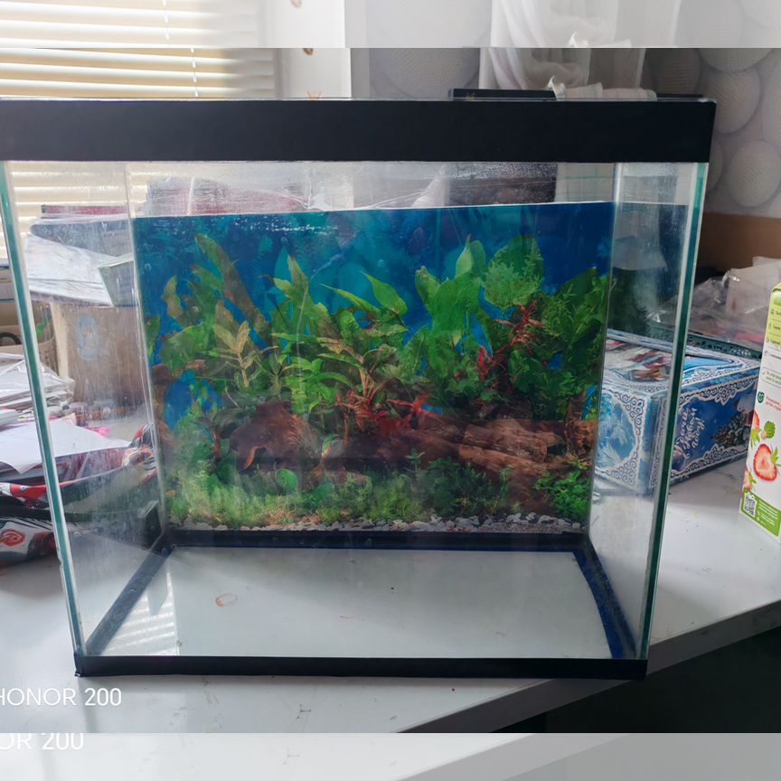 Аквариум 20 литров