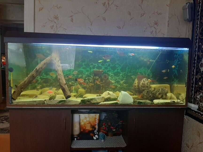 Аквариум с тумбой 350 литров