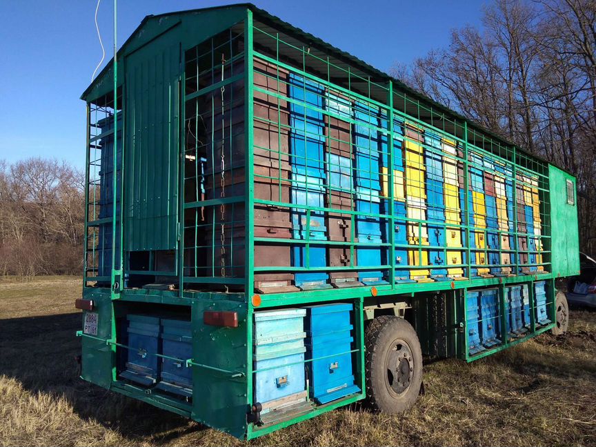 Пчелаводства