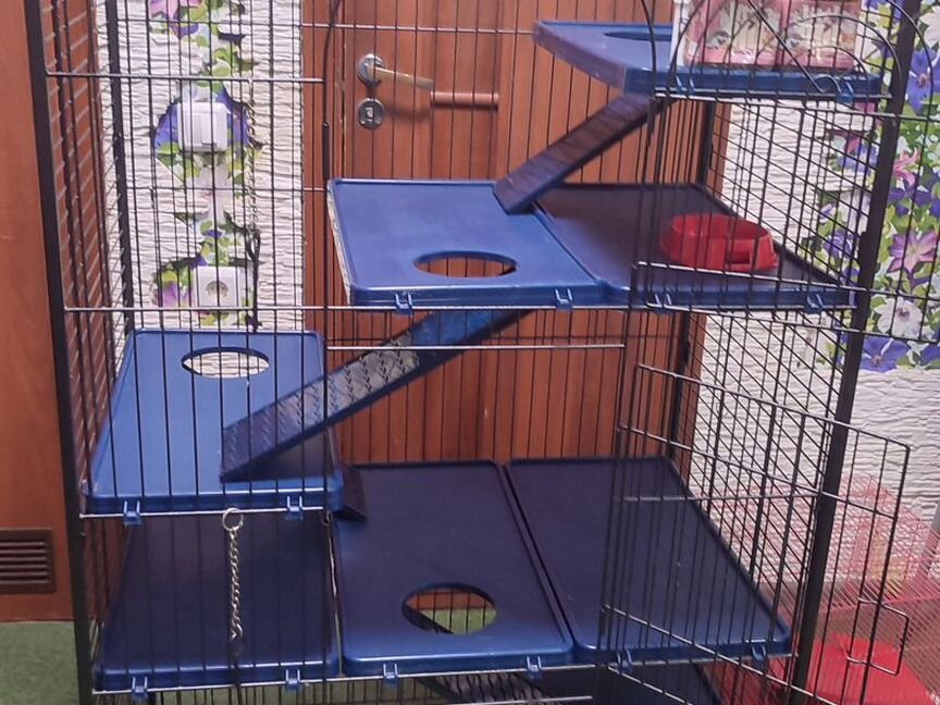 Клетка для грызунов (жили крысы)