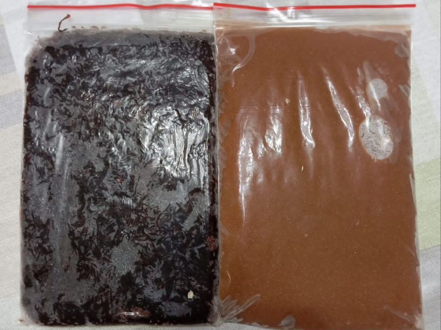 Науплии Артемии, мотыль замороженные