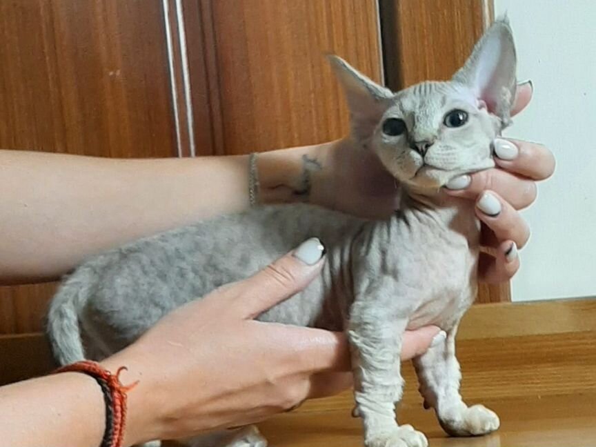 Минскин Minskin