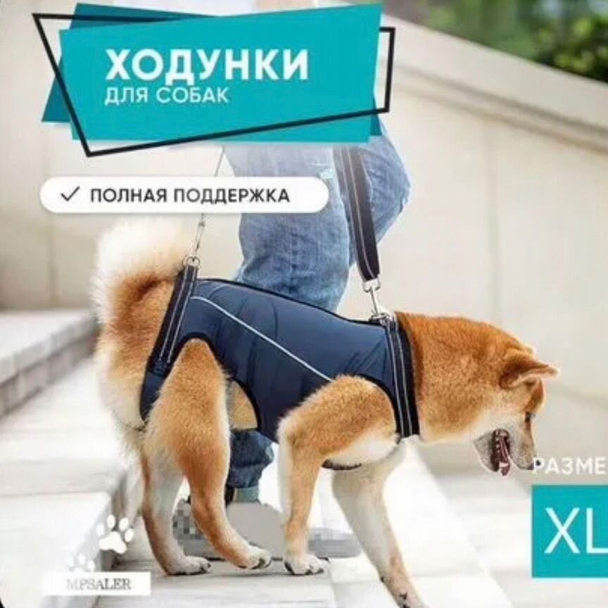 Ходунки для собак