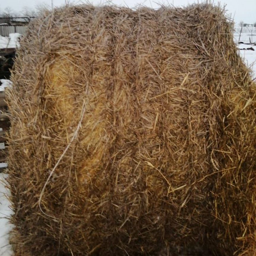 Солома пшеничная в тюках