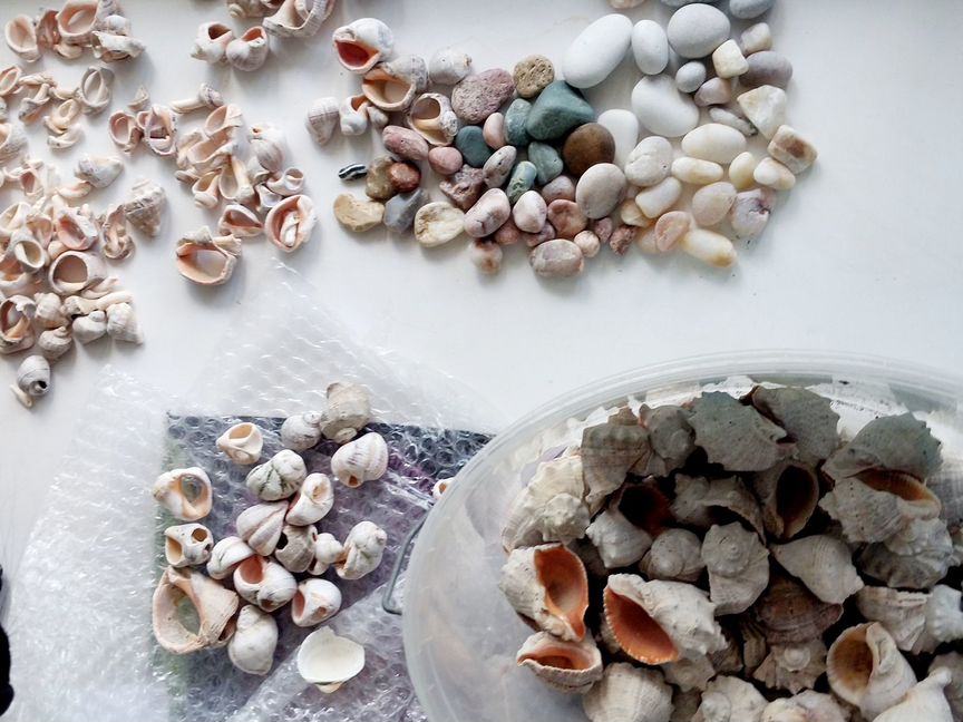 Ракушки и морские камушки для декора