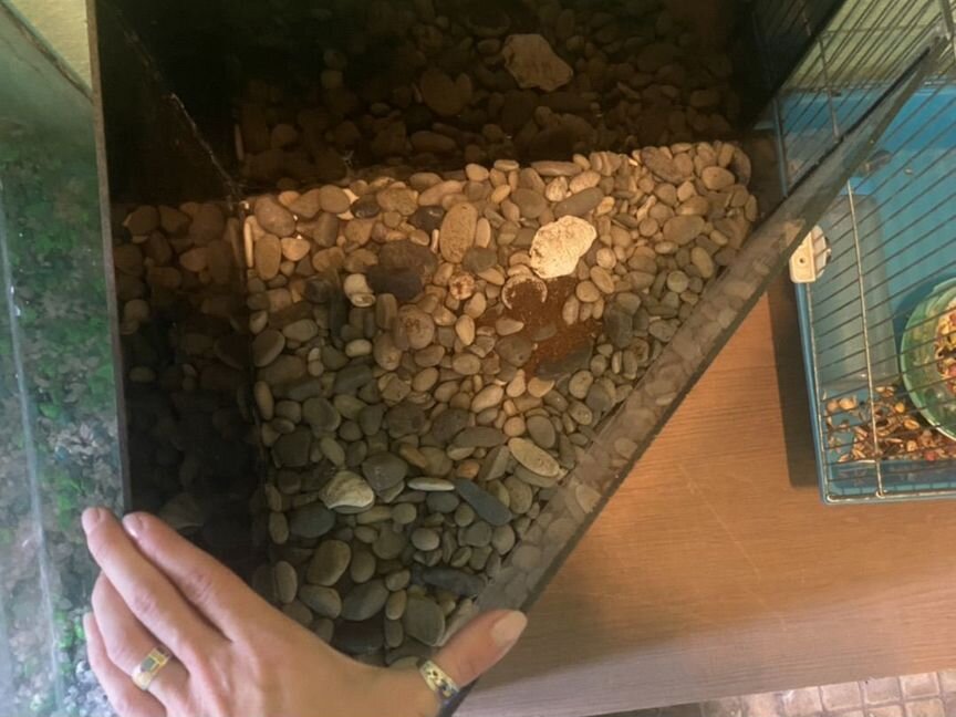 Аквариум,террариум