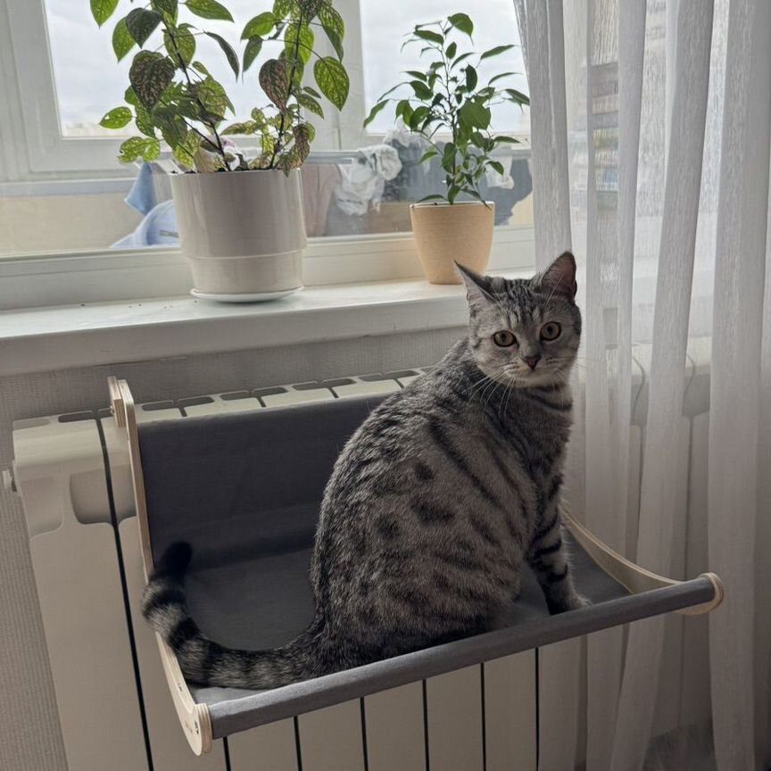 Гамак для кошек на батарею