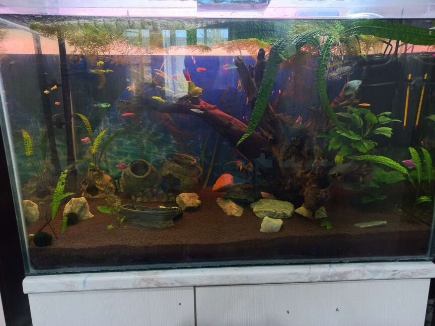 Аквариум 300 литров