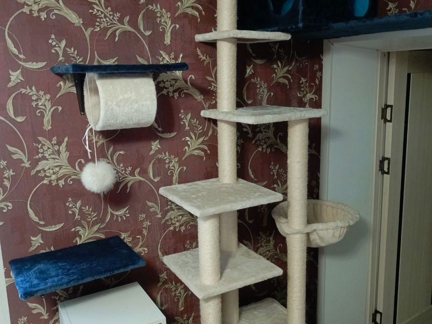 Кошачий игровой комплекс