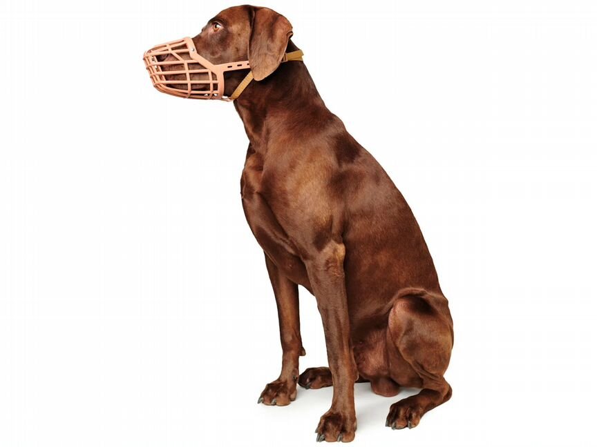 Намордник пластиковый для собак Hunter, лабрадор