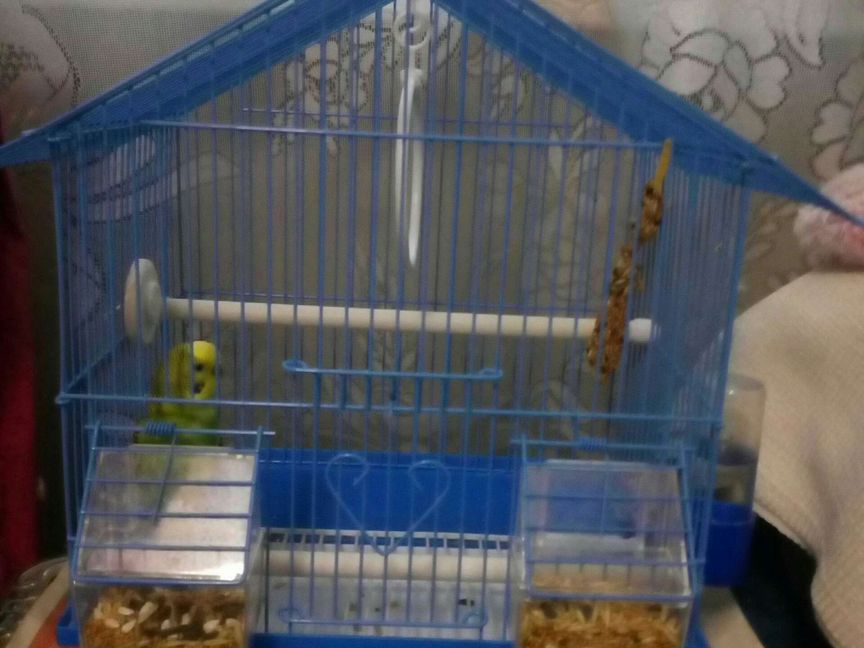 Продажа животных