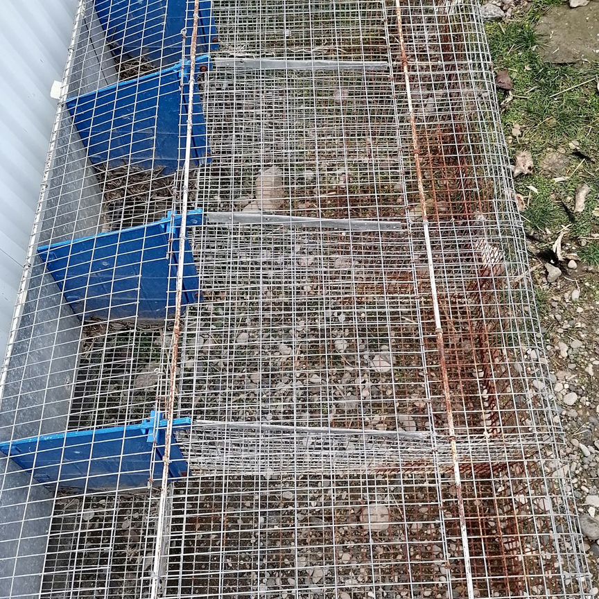 Гранулятор для комбикорма б\у и сенодробилку клетк