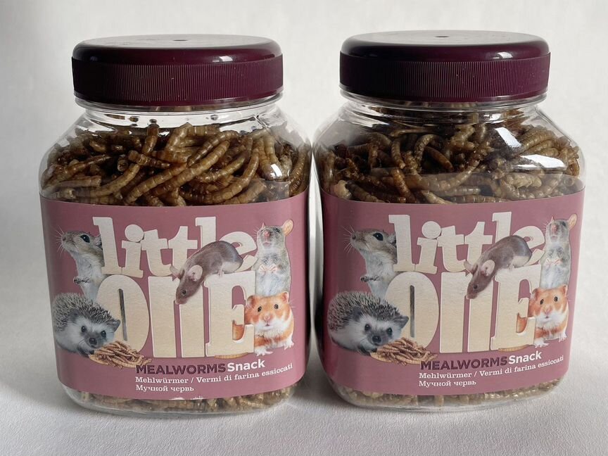 Мучной червь для грызунов little one