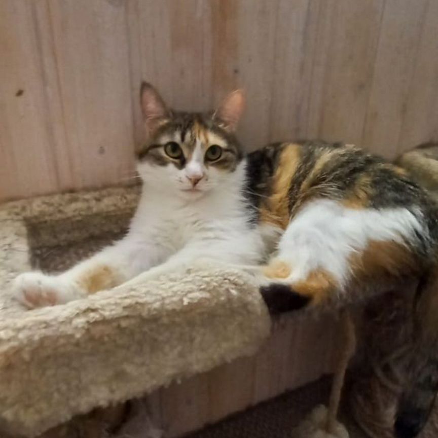 Девочка Моня