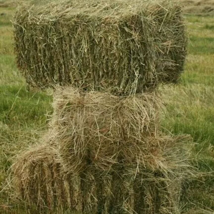 Сено