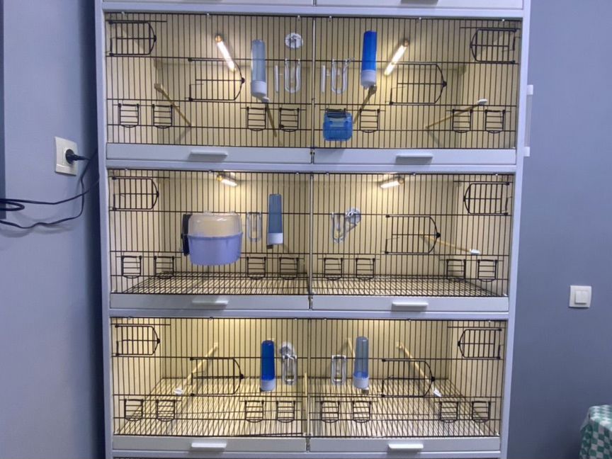 Клетка - разводной бокс для попугаев