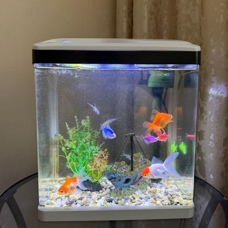 Аквариум 15 литров полный комплект