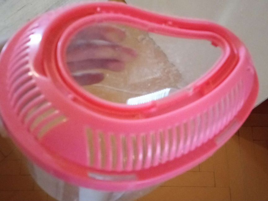 Террариум для красноухой черепахи