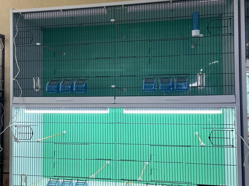 Клетка Бокс для птиц