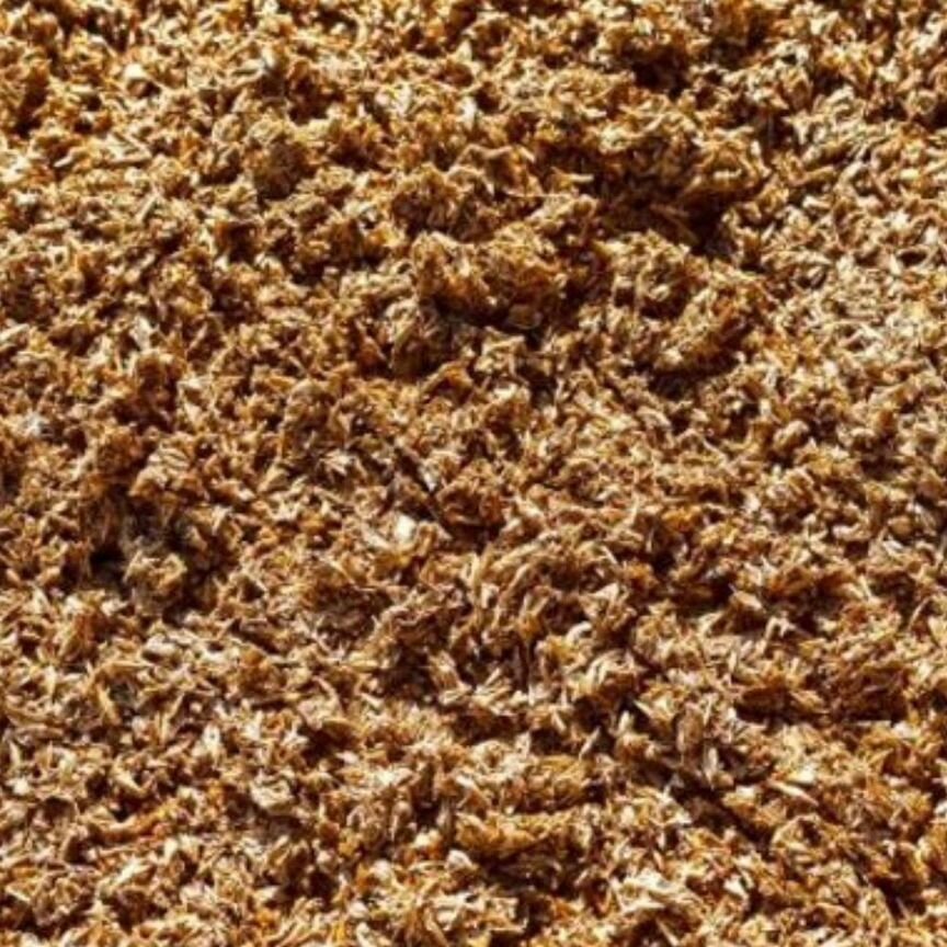 Пивная дробина