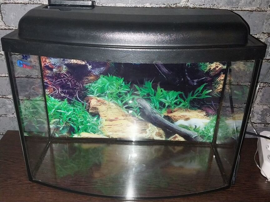 Панорамный аквариум 30л