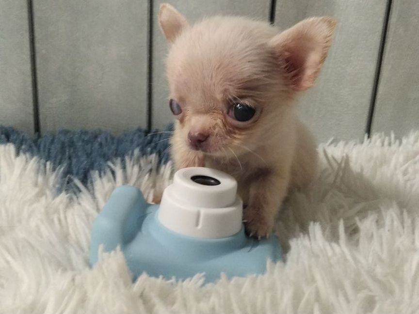 Меньше 1 кг во взрослом