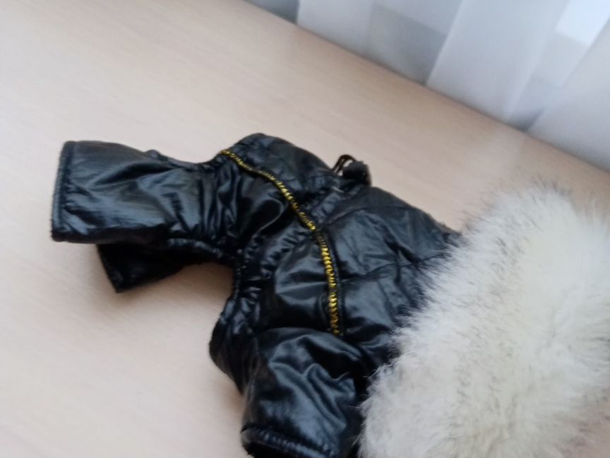 Одежда для питомца