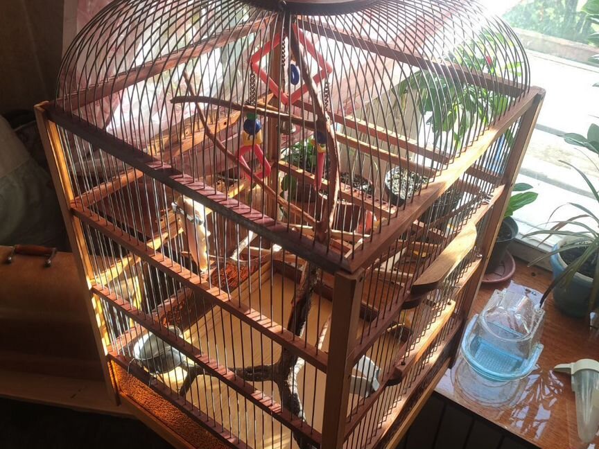 Клетка для грызунов и попугаев
