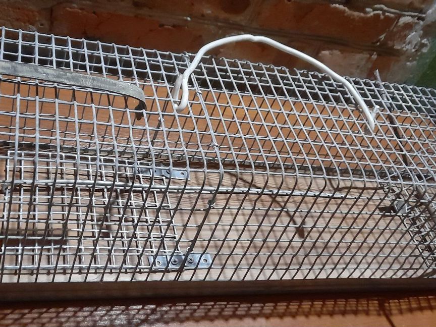 Ловушка "Живоловка"