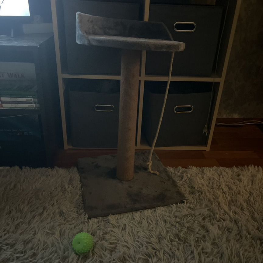 Когтеточка