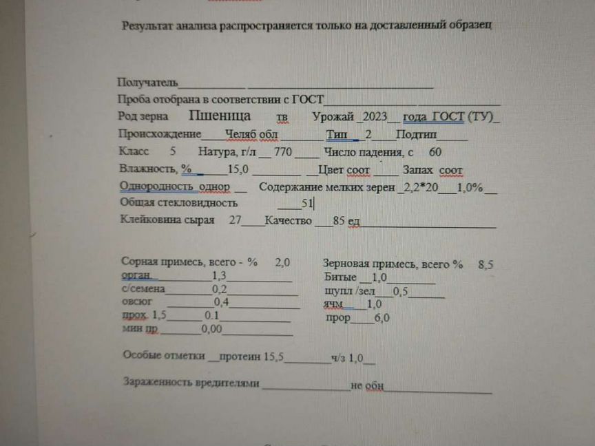 Пшеница твердая