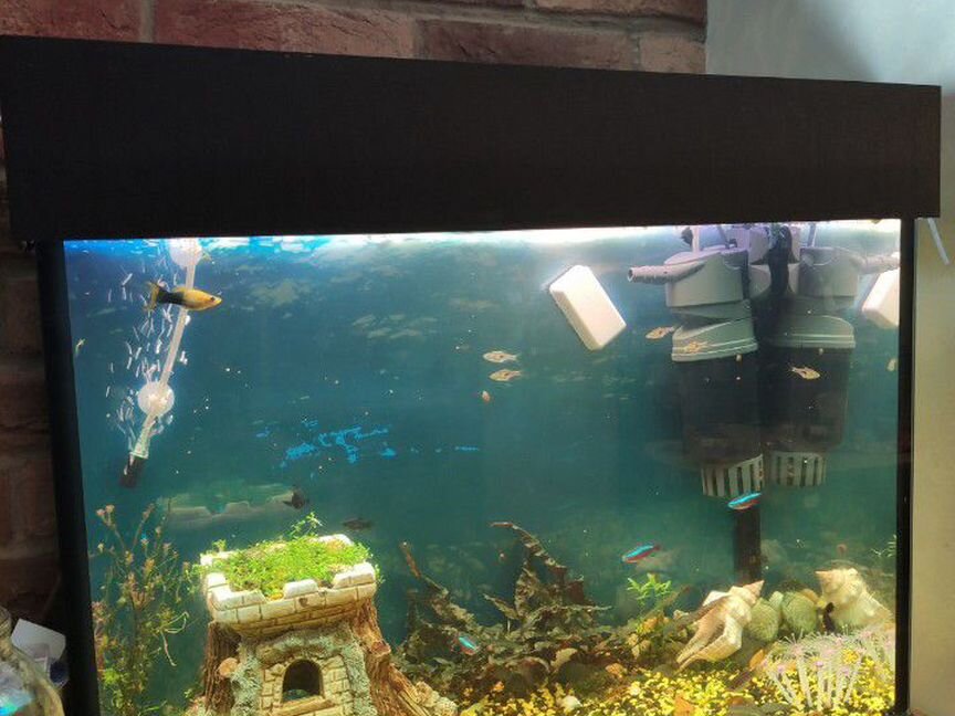 Аквариум