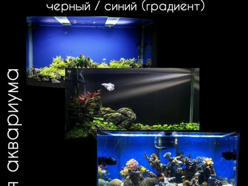 Задний фон для аквариума