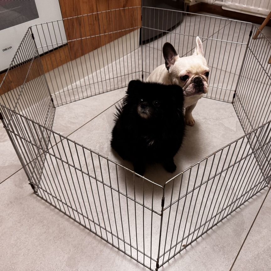 Вольер для щенков и/или маленьких собак в квартиру