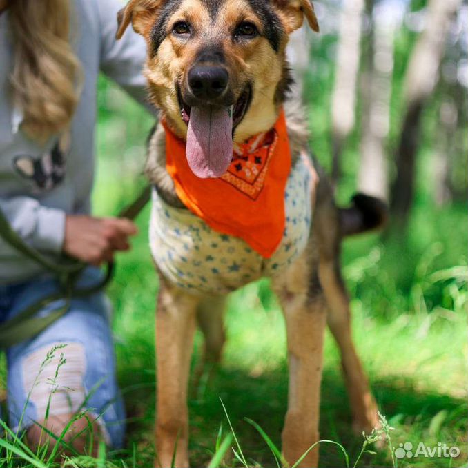 Пушистая детка Флора нуждается в хозяине