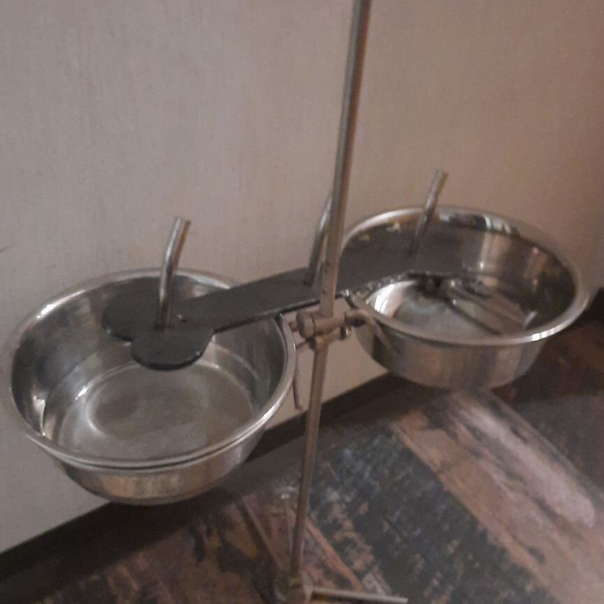 Миска для собаки, бесплатно