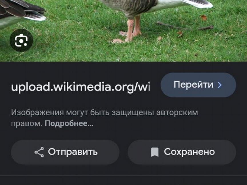 Гуси и муларды