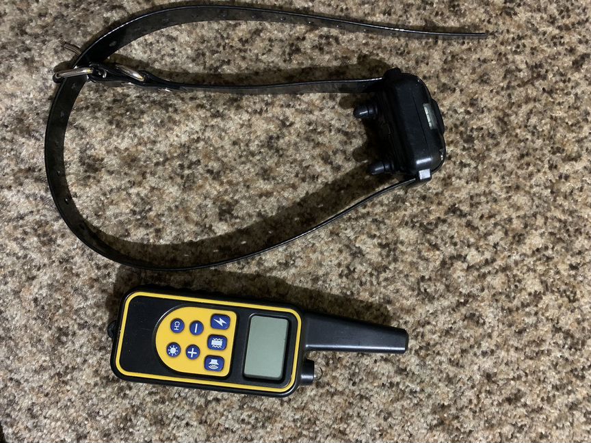 Эл-й ошейник для тренировки собаки