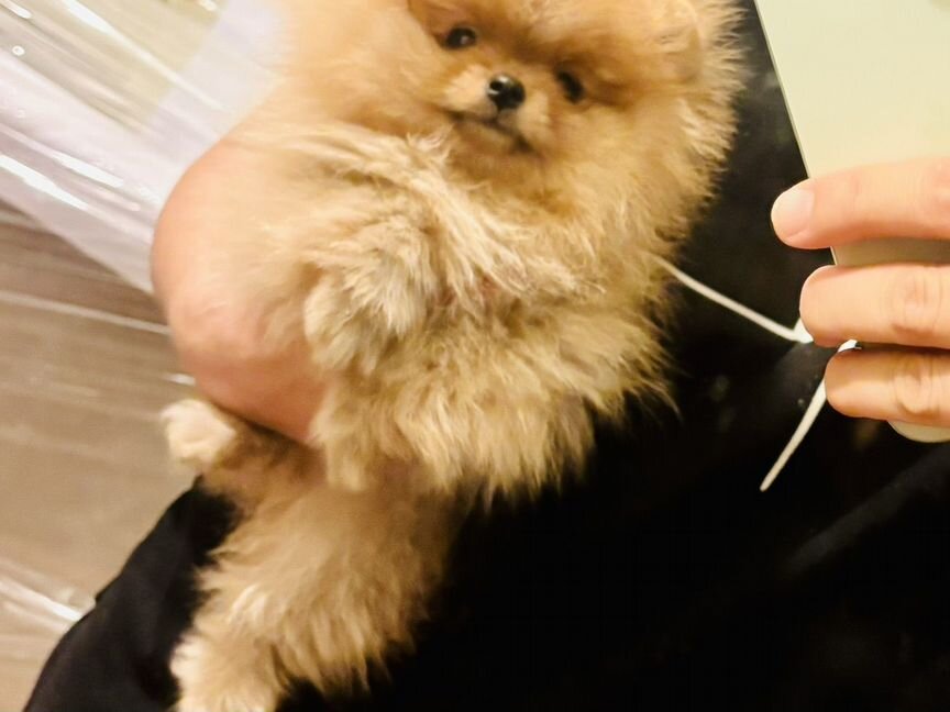 Малюсенький мальчик