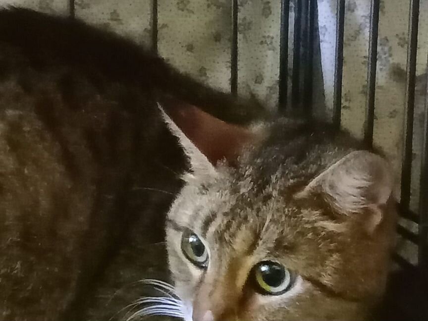 У нее всего 5 дней