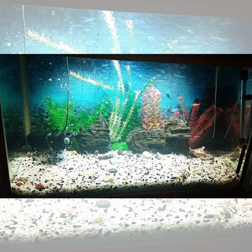 Аквариумные рыбки(Аквариум)