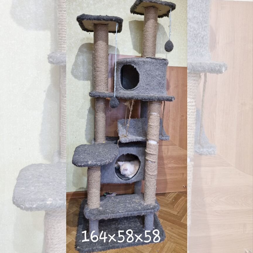 Домик когтеточка