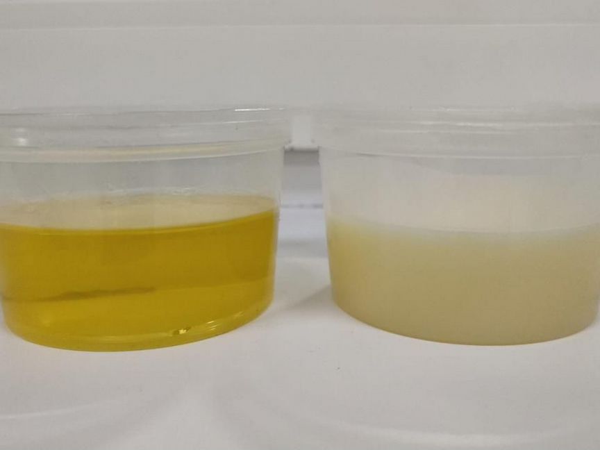 Жир кормовой