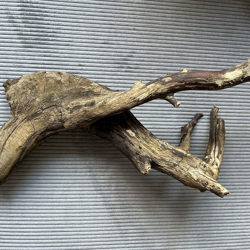 Коряга дрифтвуд